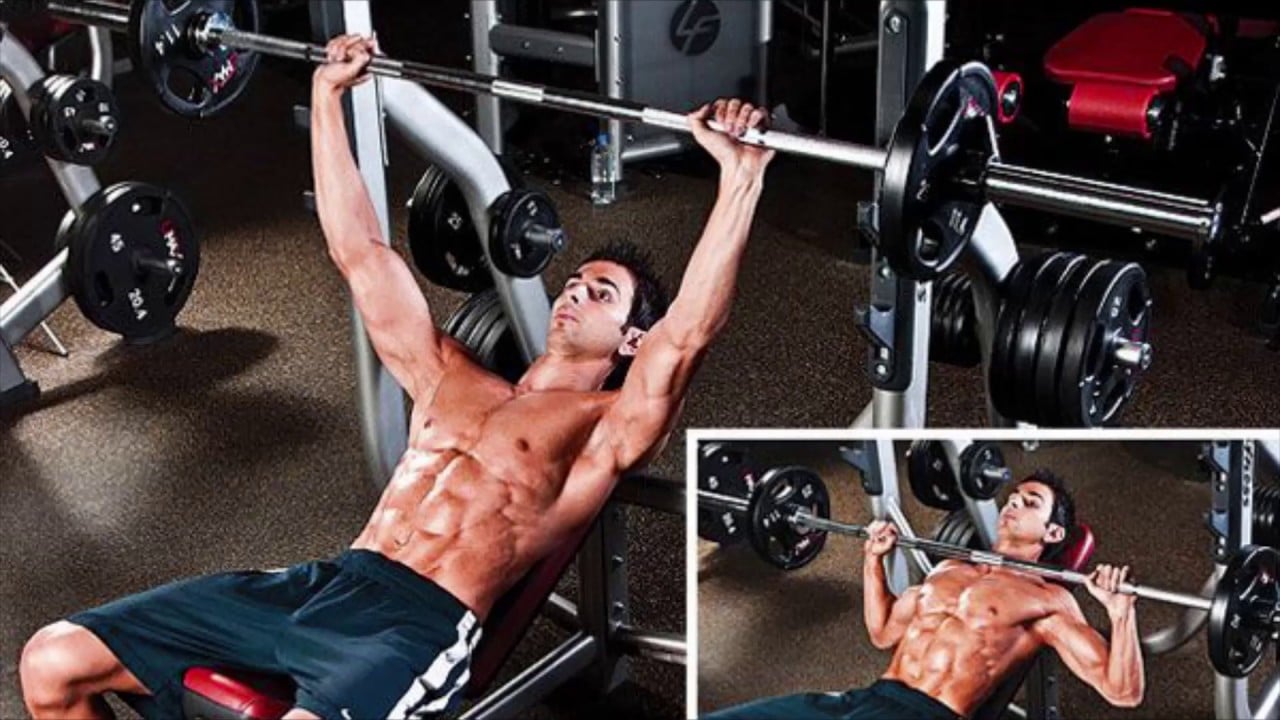 Comment développer vos muscles pectoraux : Toutes vos questions avec la ...