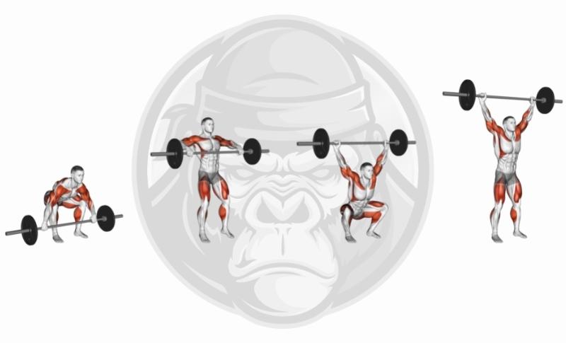 Les 10 meilleurs exercices avec haltères (mise à jour 2024) – BofiziK.ca