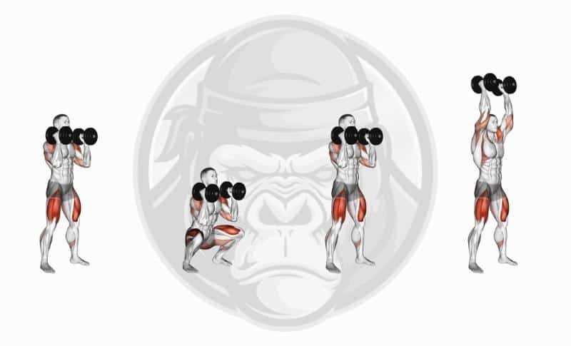 Les 10 meilleurs exercices avec haltères (mise à jour 2024) – BofiziK.ca