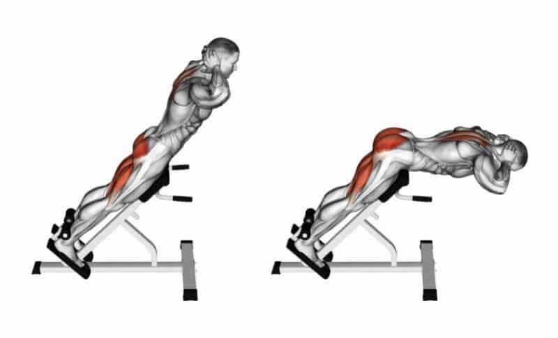 Les 10 meilleurs exercices pour le bas du dos (mise à jour 2024 ...