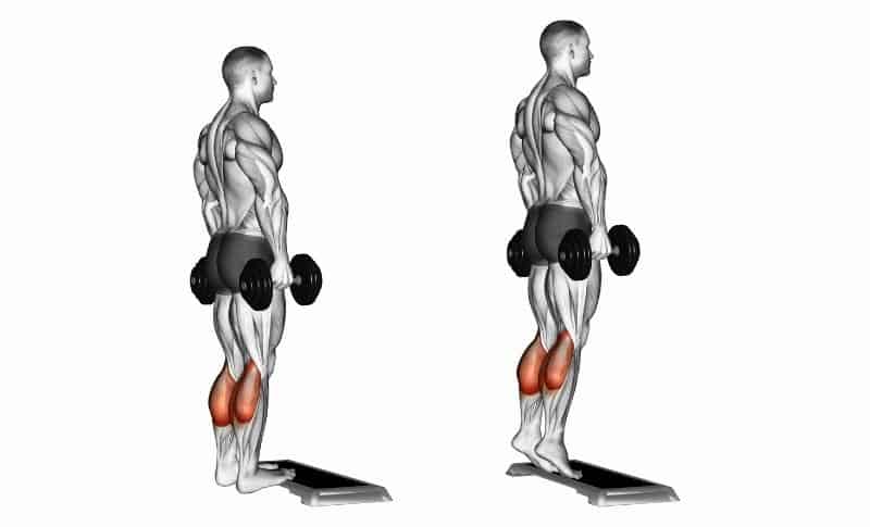 Les 10 meilleurs exercices pour les mollets (Mise à jour 2024) – BofiziK.ca